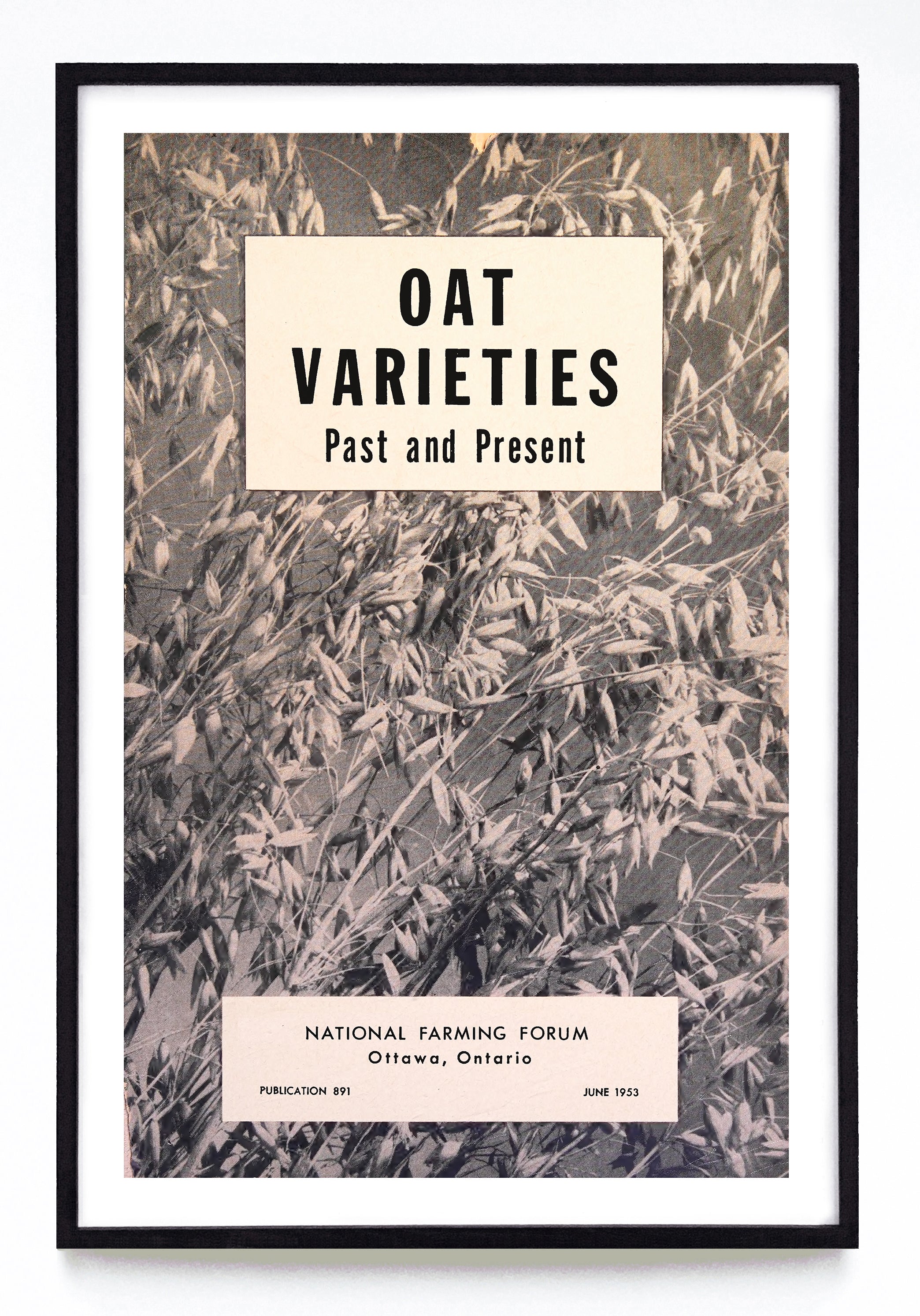 "Oat Varieties Past and Present" print (1953) – Raymond Biesinger ...