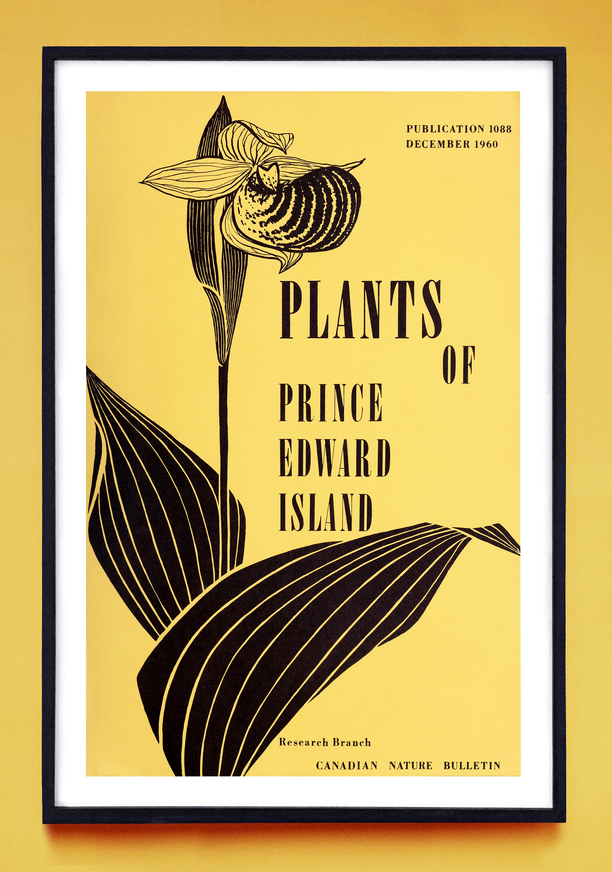 "Plants of Prince Edward Island" print (1960) – Raymond Biesinger ...
